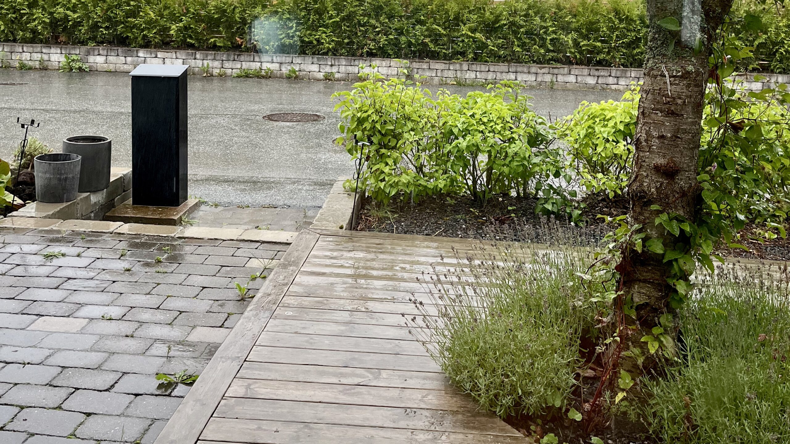 Regnig sommar, musslor och Drunken Noodles – Stina Wallentin